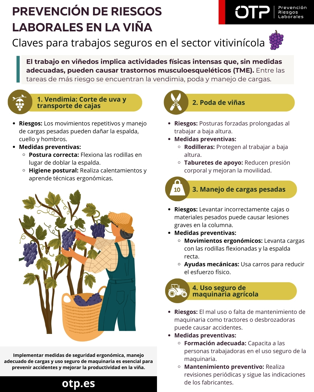 Prevención de riesgos laborales en el sector vitivinícola: claves para trabajos seguros en la ...